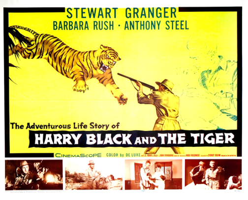 The Tiger on Screen: A Political Animal? – Cinema and Social Justice ...